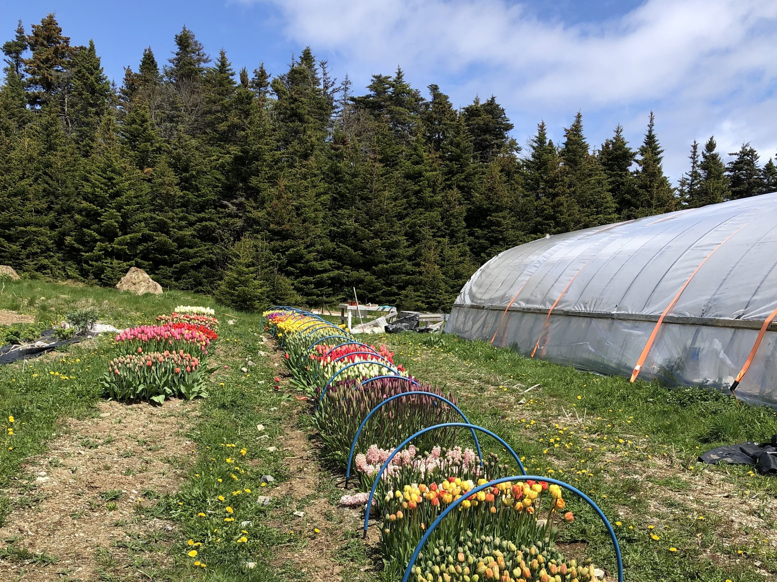 About — O'Brien Farm