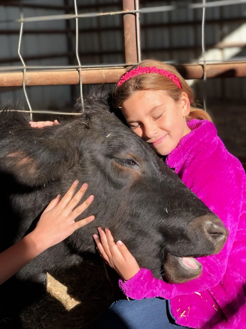 Frankyl — Freed Spirits Animal Rescue