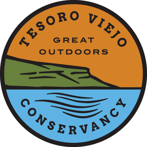 Tesoro Logo