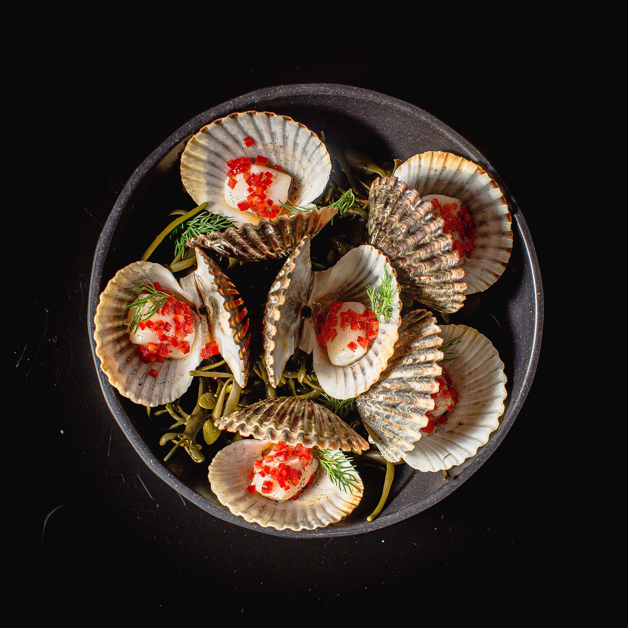 Gallery — nightshade noodle bar