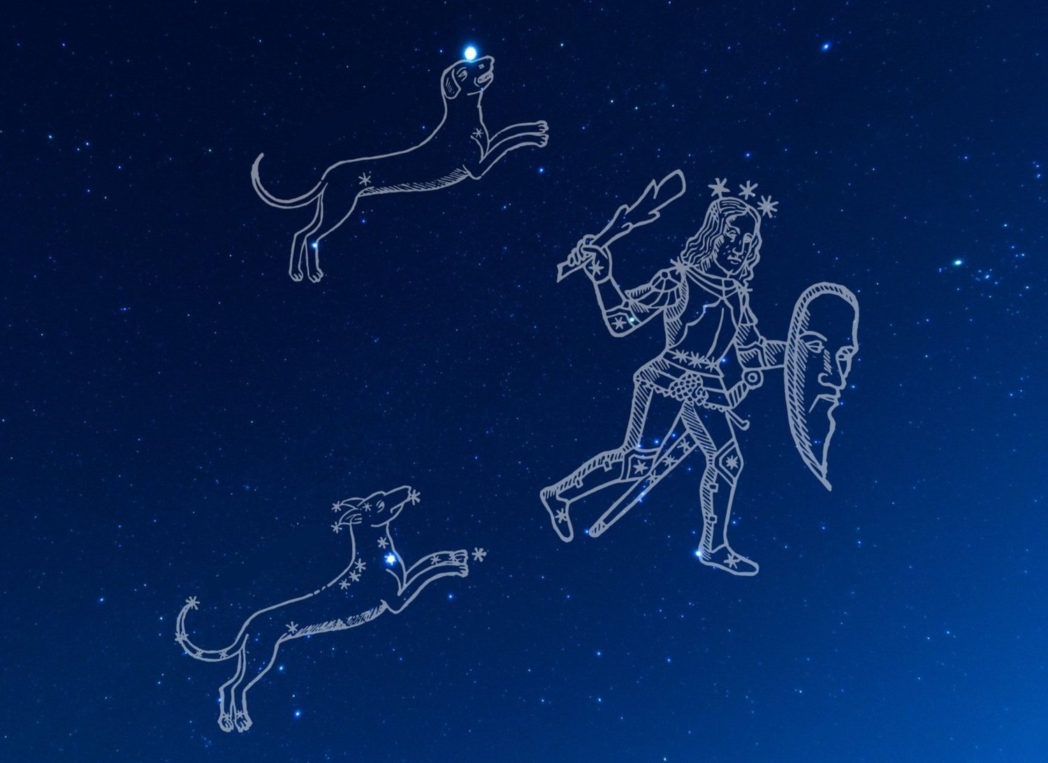 The Legend of Laelaps — KMI