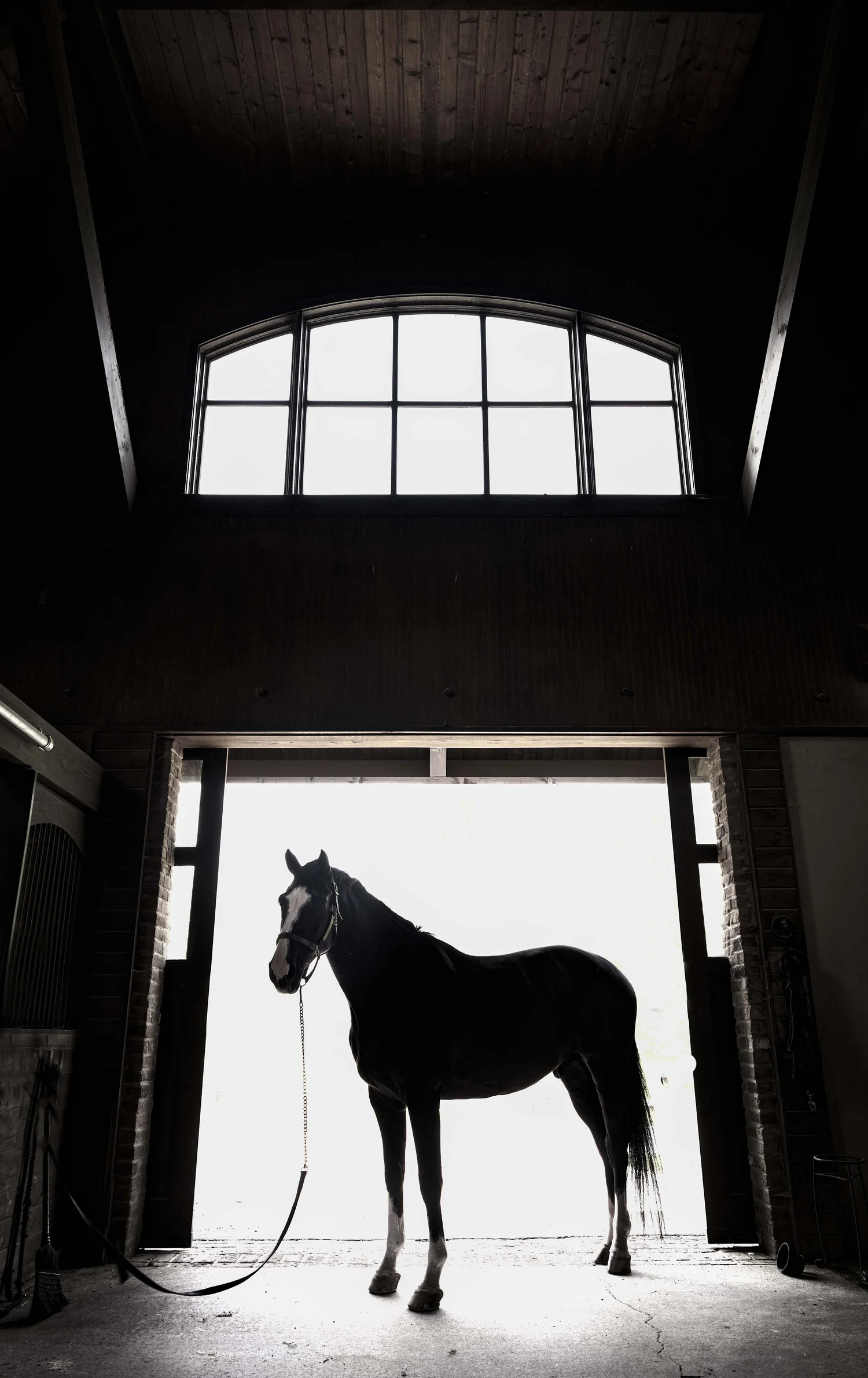 Horse Barn Photography