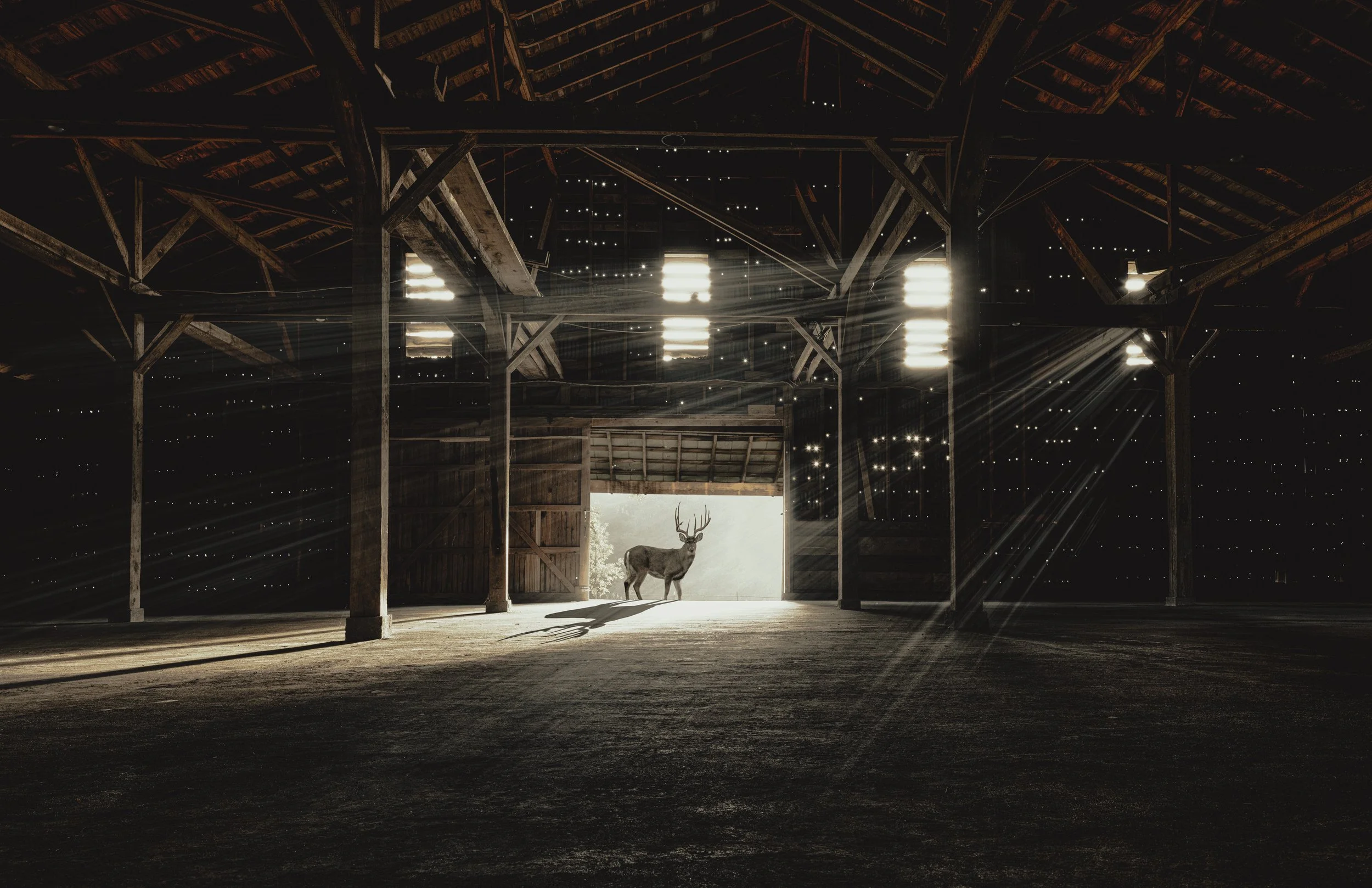 new — Merrell Thompson Photography