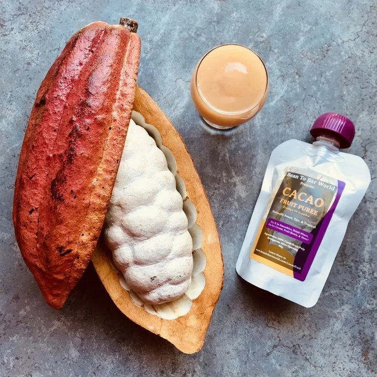 Have you ever tried the fruit of the cocoa pod? — Science Of Chocolate
