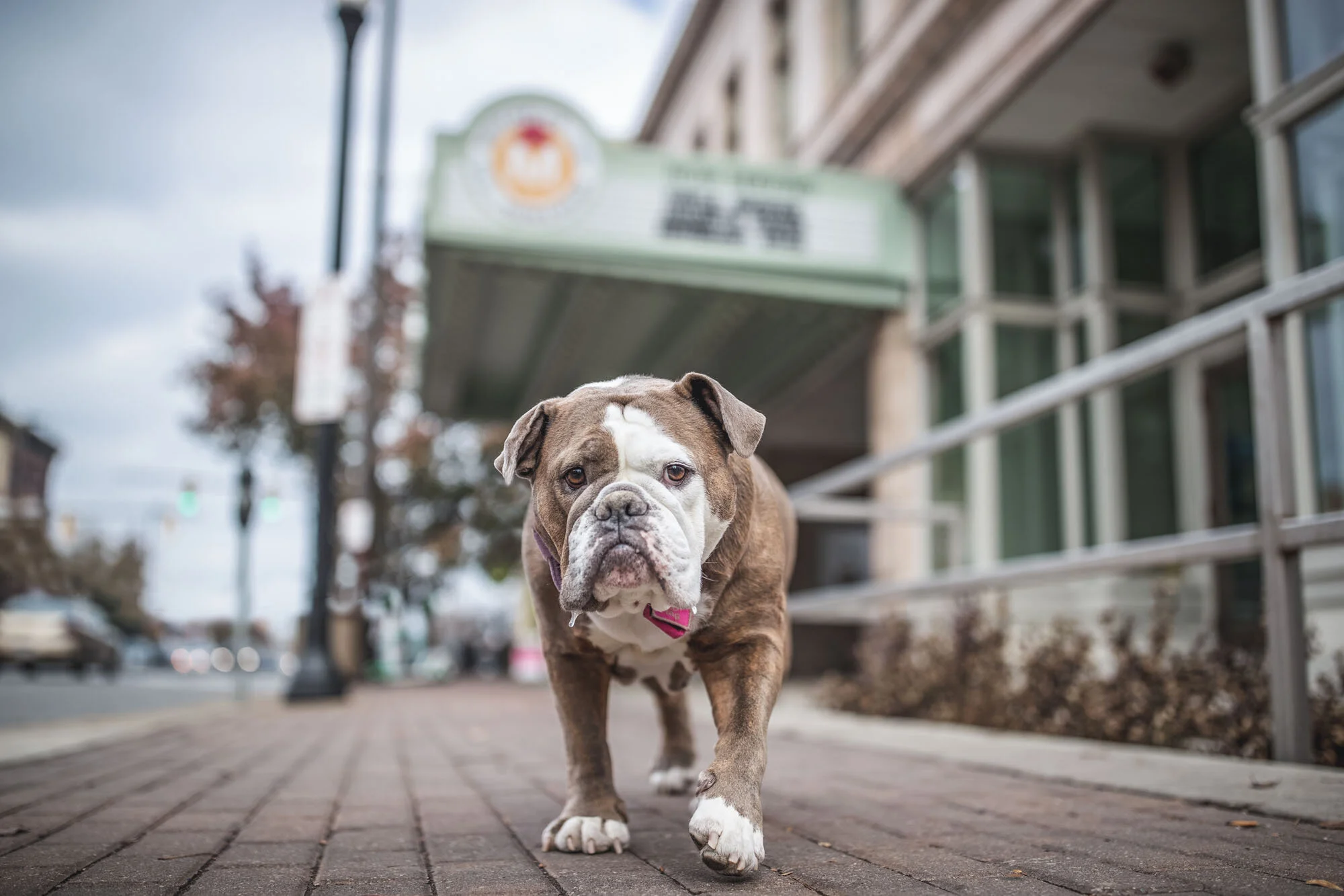blog — Greg Murray Photography