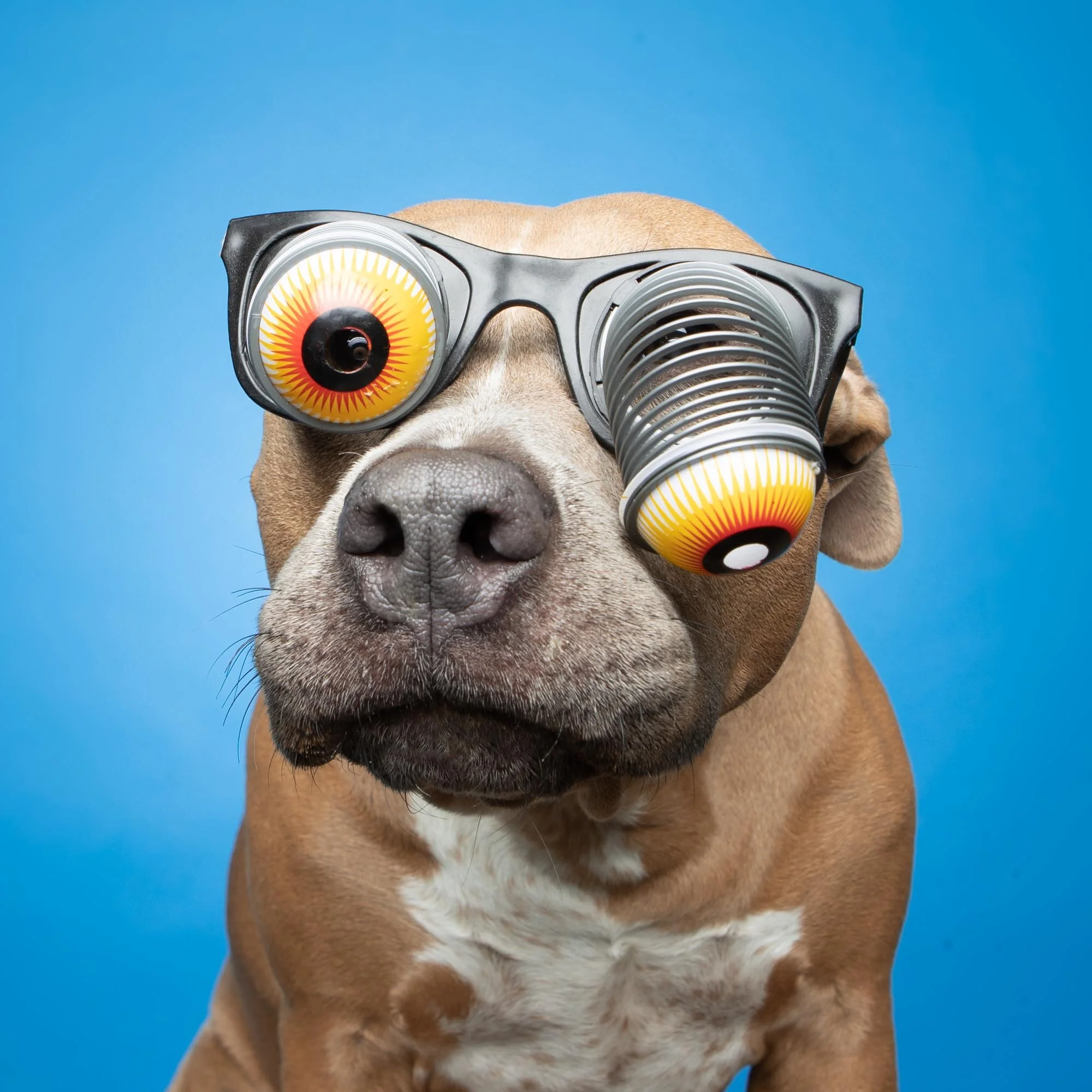 blog — Greg Murray Photography