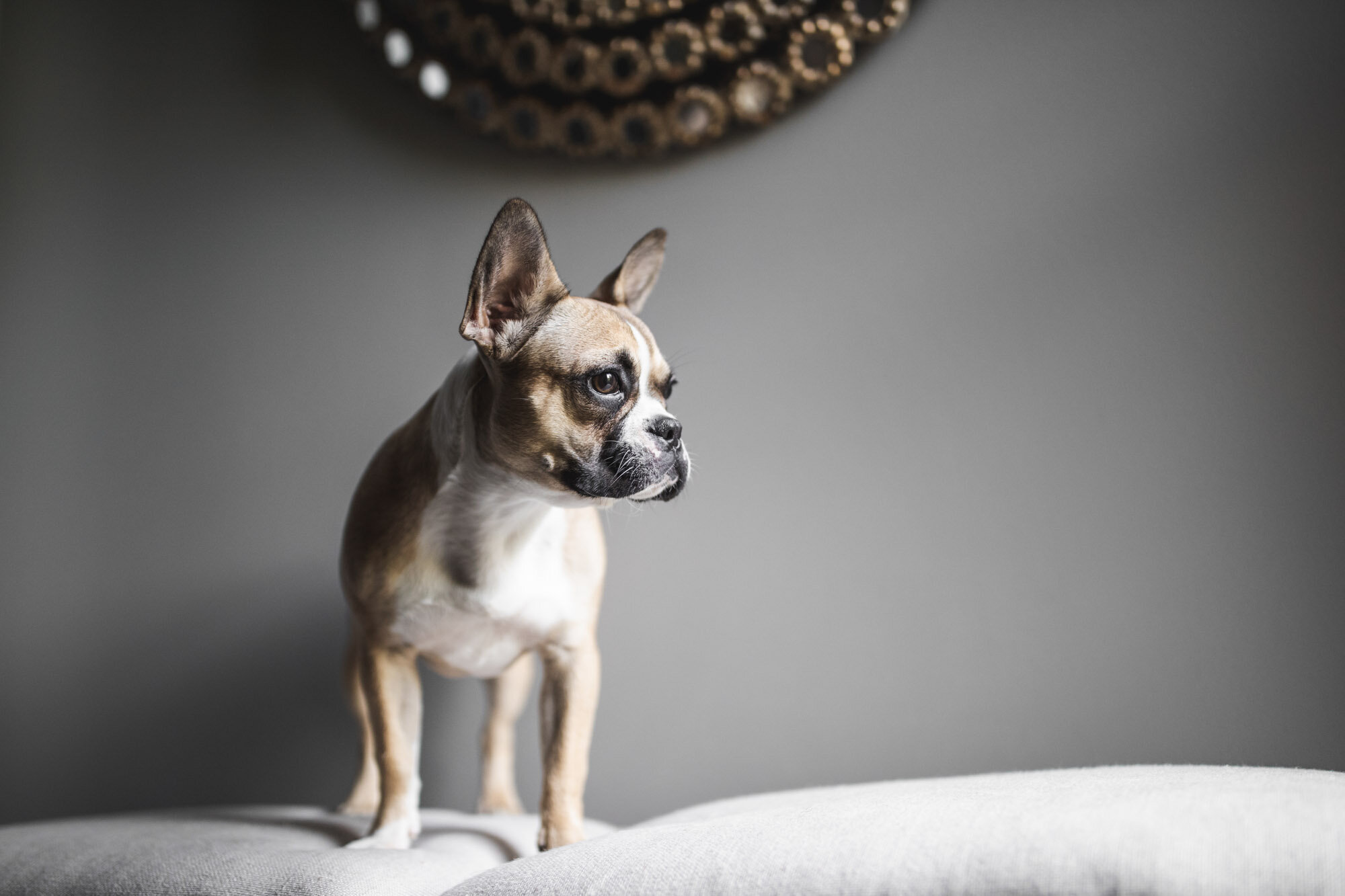 blog — Greg Murray Photography