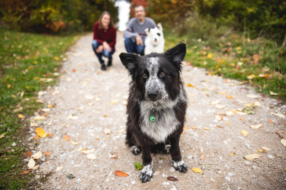Topher and his family - Fall photo session — Greg Murray Photography ...