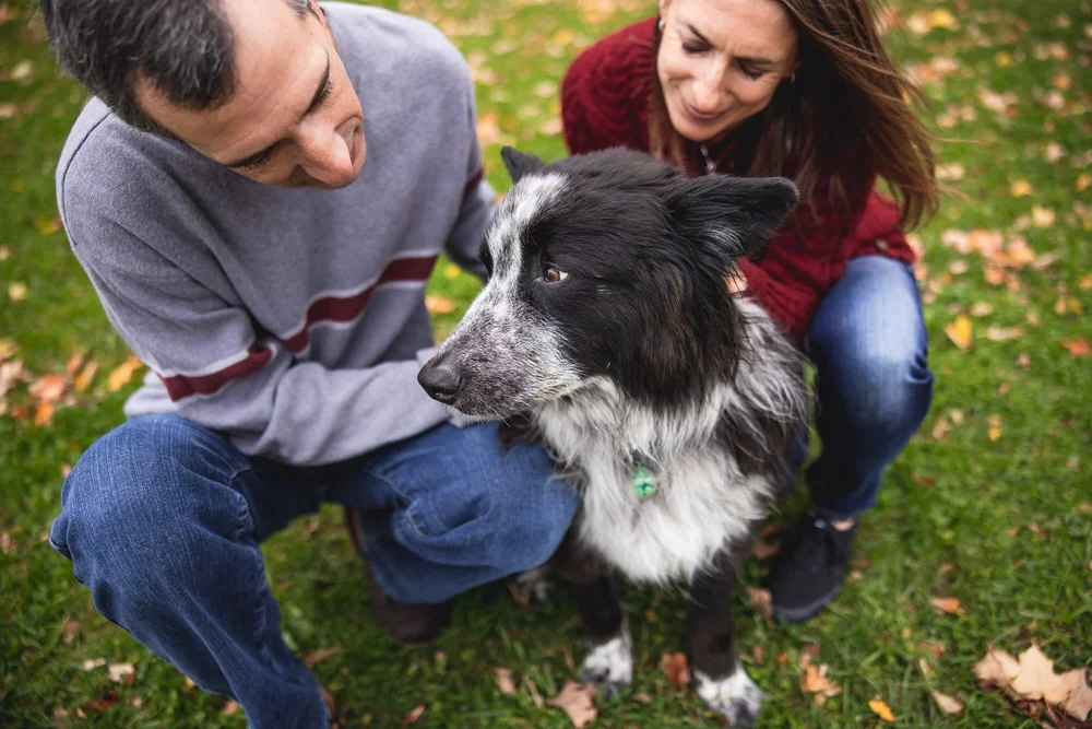 Topher and his family - Fall photo session — Greg Murray Photography ...