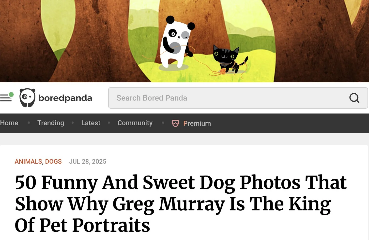 Greg Murray Photography | Cleveland based Commercial Pet and Animal ...