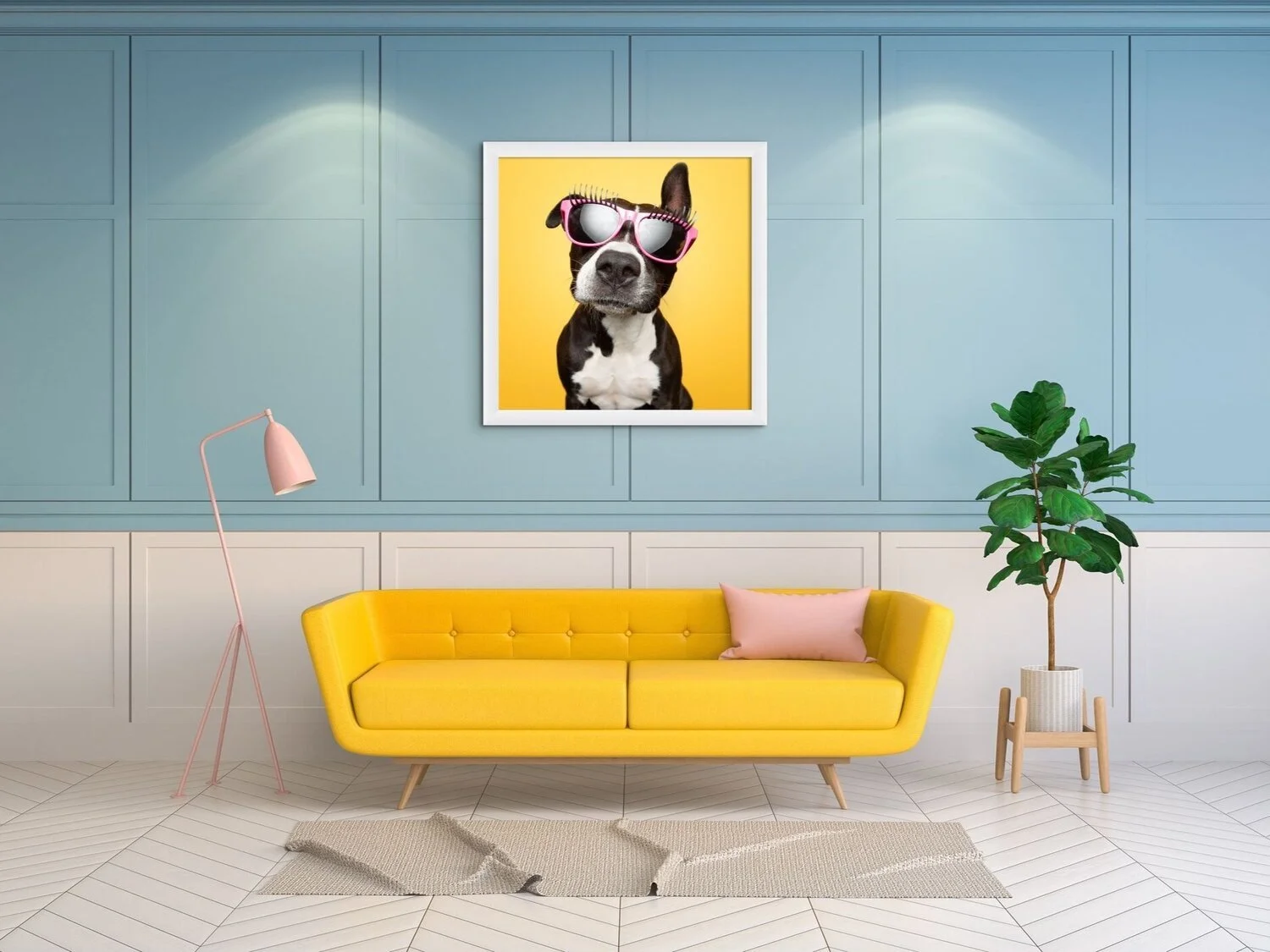 Greg Murray Photography | Cleveland based Commercial Pet and Animal ...
