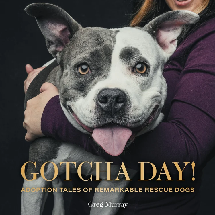 Greg Murray Photography | Cleveland based Commercial Pet and Animal ...