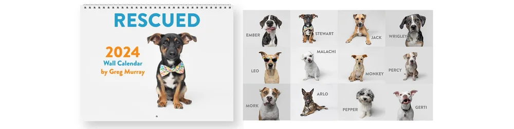 Shop — Greg Murray Photography | Cleveland based pet, equine and ...