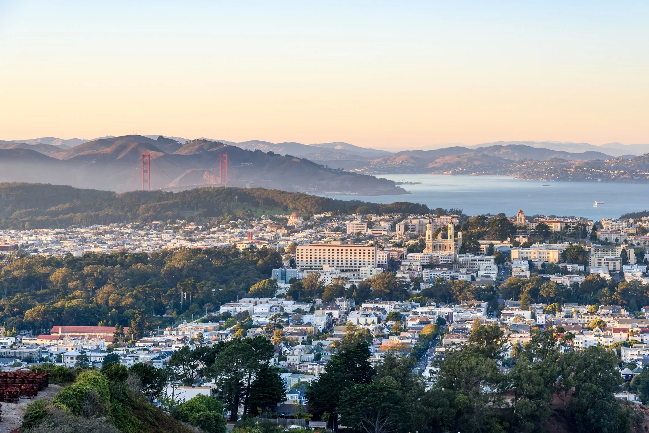 Living in Lone Mountain, San Francisco: A Family-Friendly Neighborhood ...