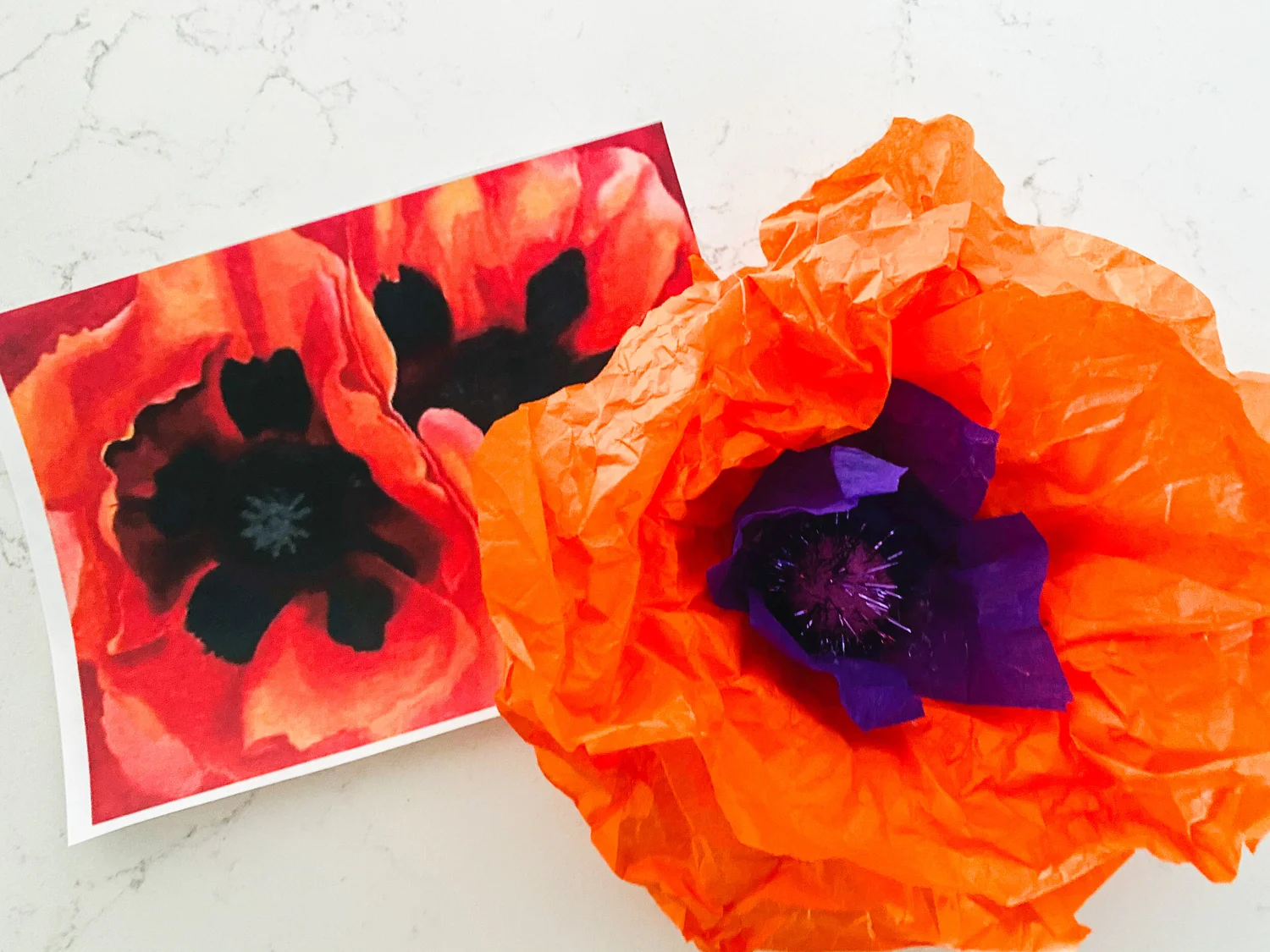 Georgia O'Keeffe Flower Study — Adventures in the Schoolhouse