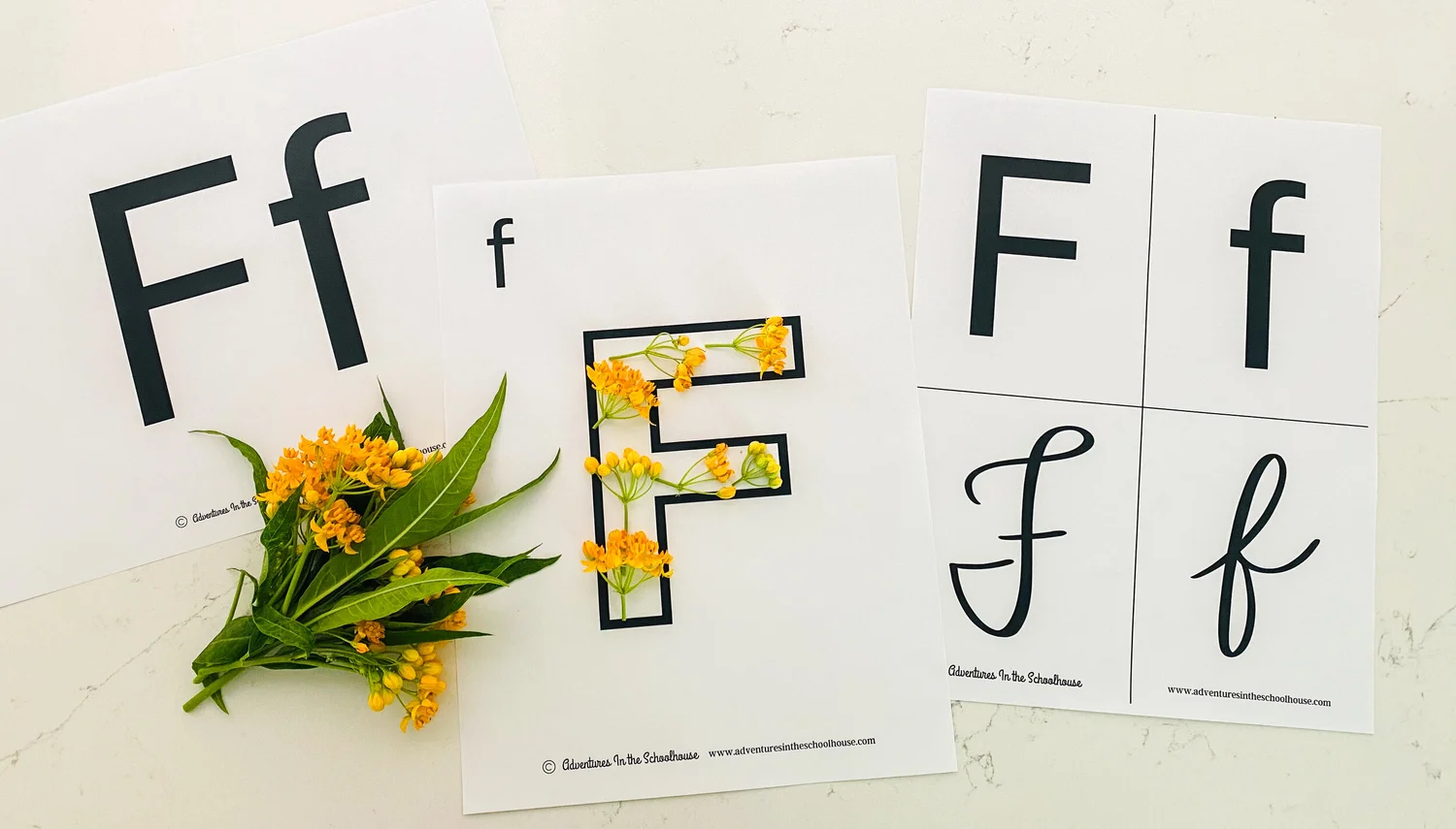 Georgia O'Keeffe Flower Study — Adventures in the Schoolhouse