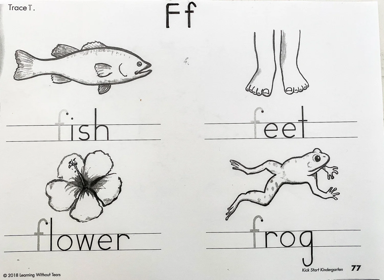 Georgia O'Keeffe Flower Study — Adventures in the Schoolhouse