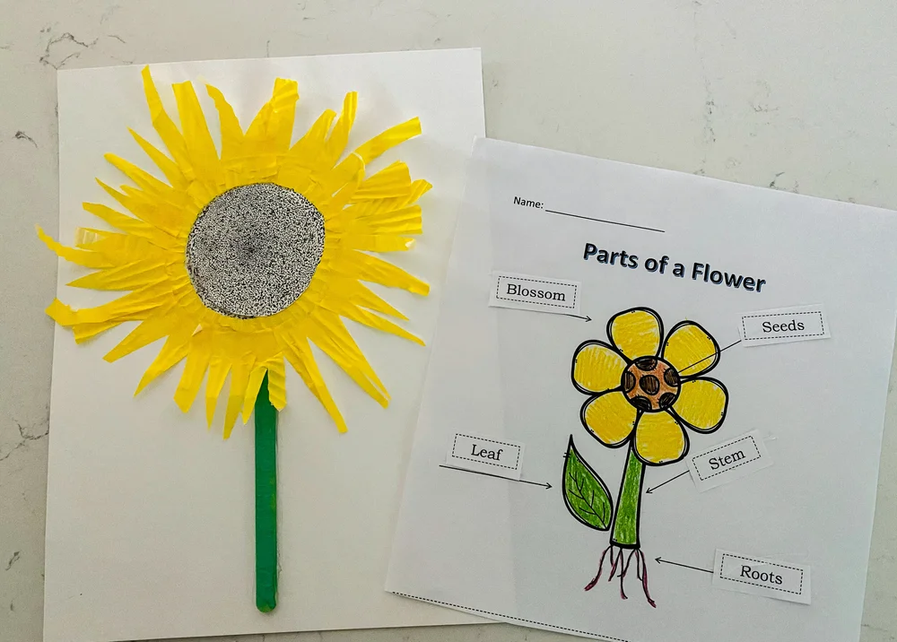 Georgia O'Keeffe Flower Study — Adventures in the Schoolhouse