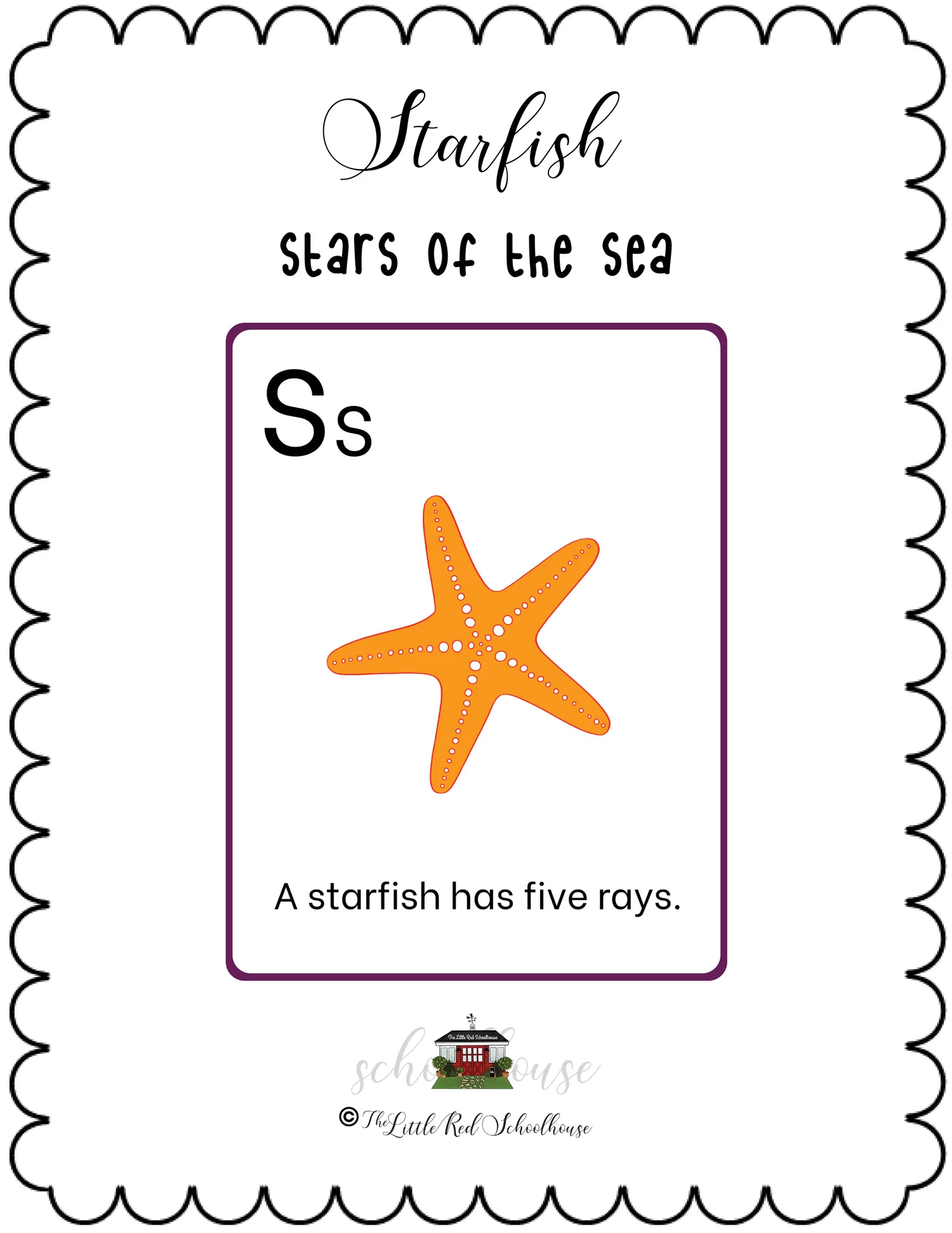 Starfish — Adventures in the Schoolhouse