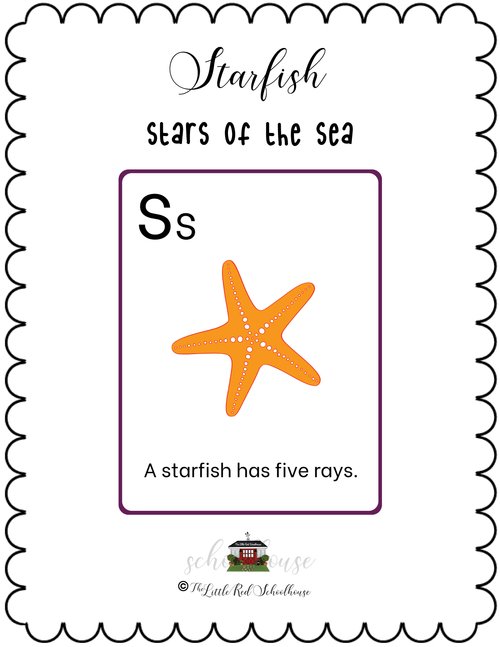 Starfish — Adventures in the Schoolhouse