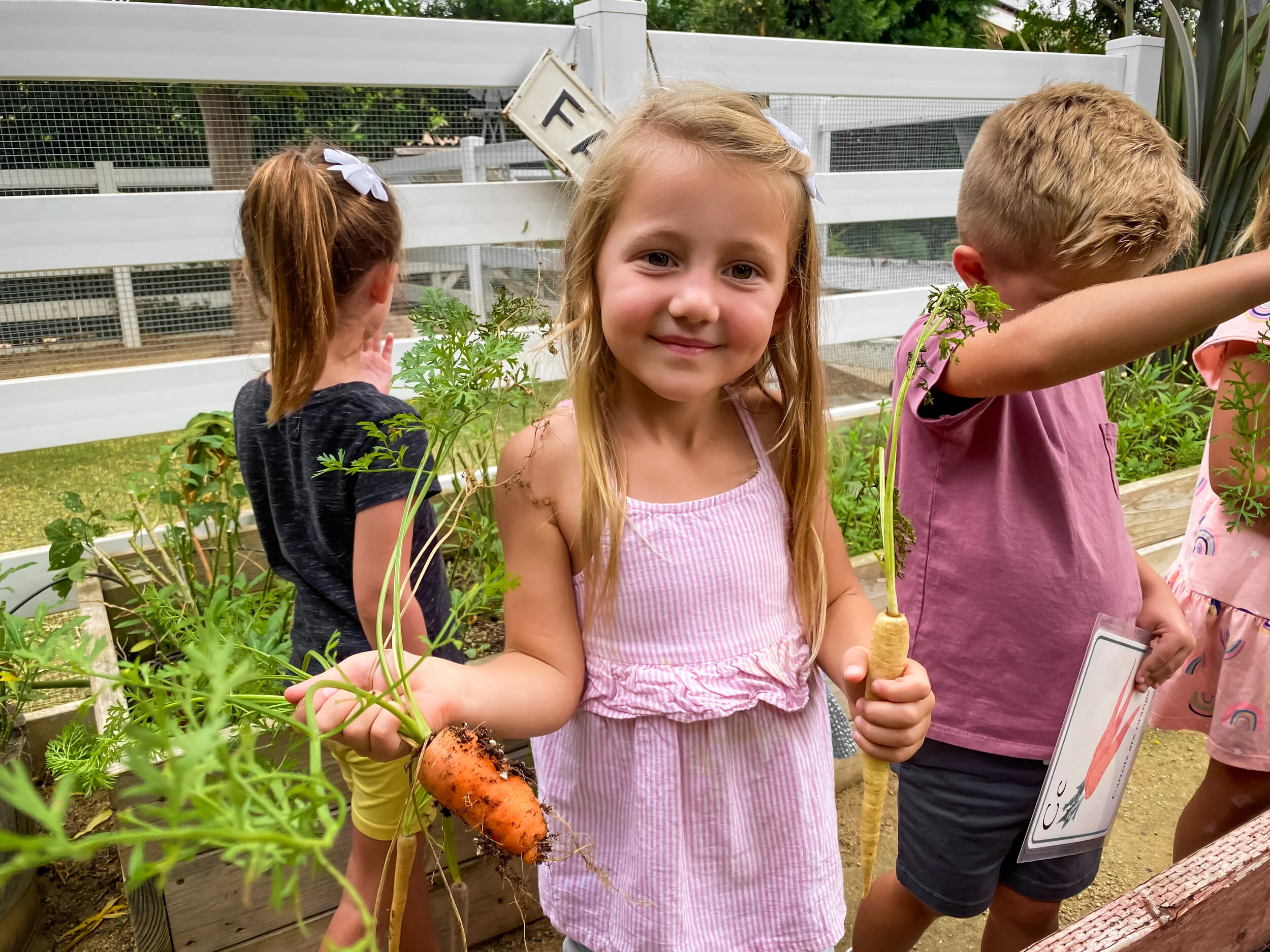 Carrot Lesson — Adventures in the Schoolhouse