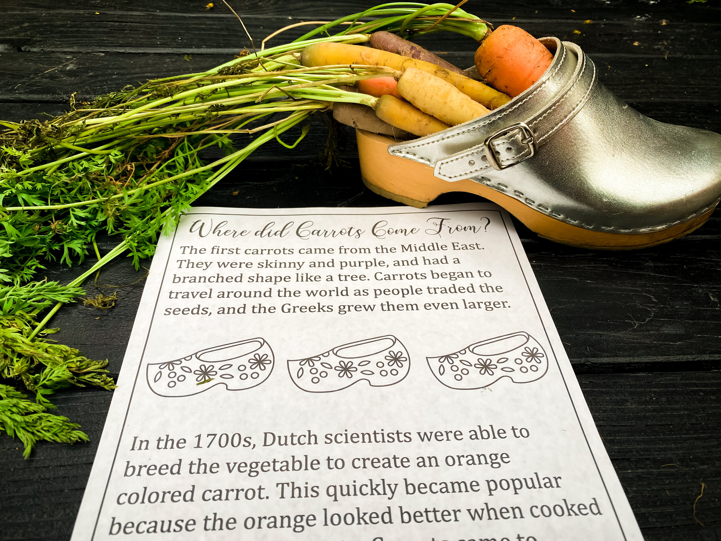 Carrot Lesson — Adventures in the Schoolhouse