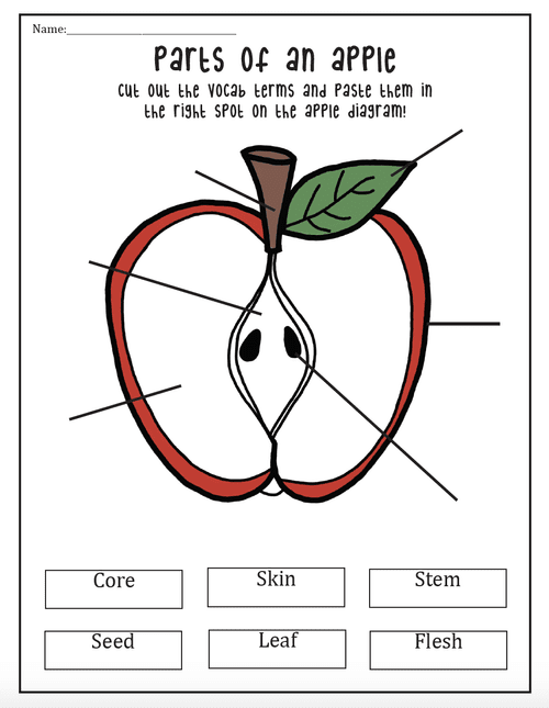 Apple Lesson — Adventures in the Schoolhouse