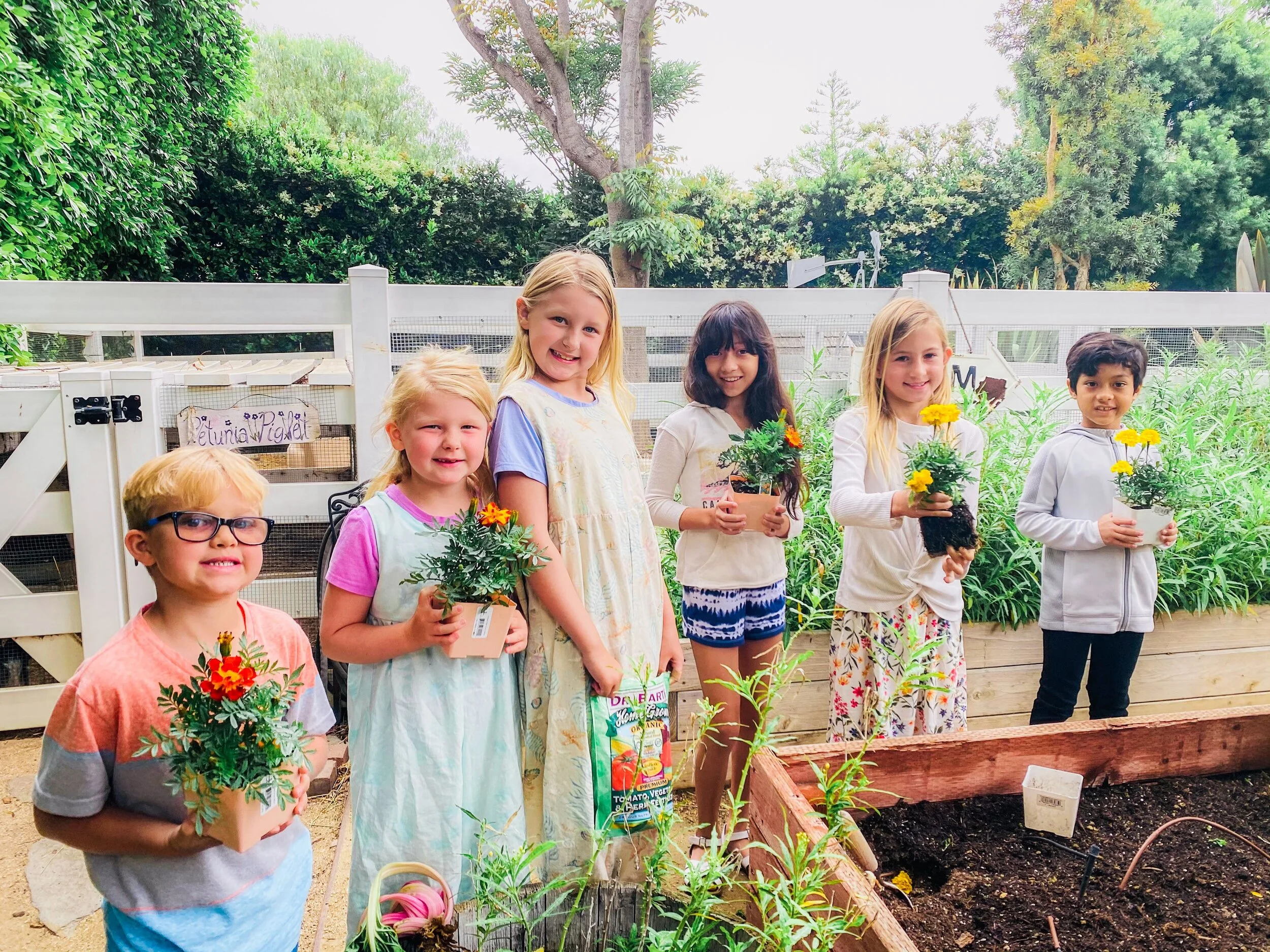 The Marigold Effect — Adventures in the Schoolhouse