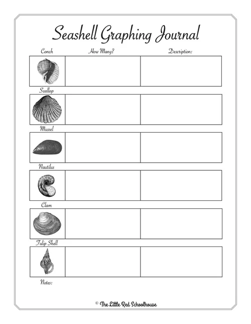 Seashell Graphing Journal — Adventures in the Schoolhouse