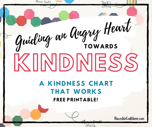 My Kid is Mean | Helping Children Choose Kindness — Places We Call Home