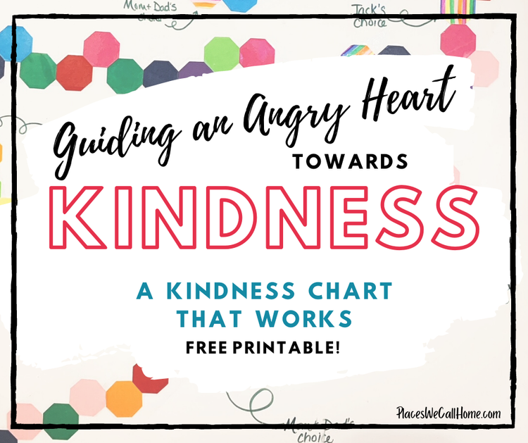 My Kid is Mean | Helping Children Choose Kindness — Places We Call Home
