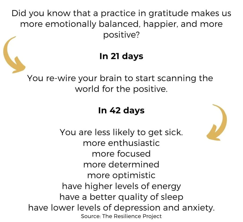 The Remarkable Link between Gratitude and Happiness — 7SY