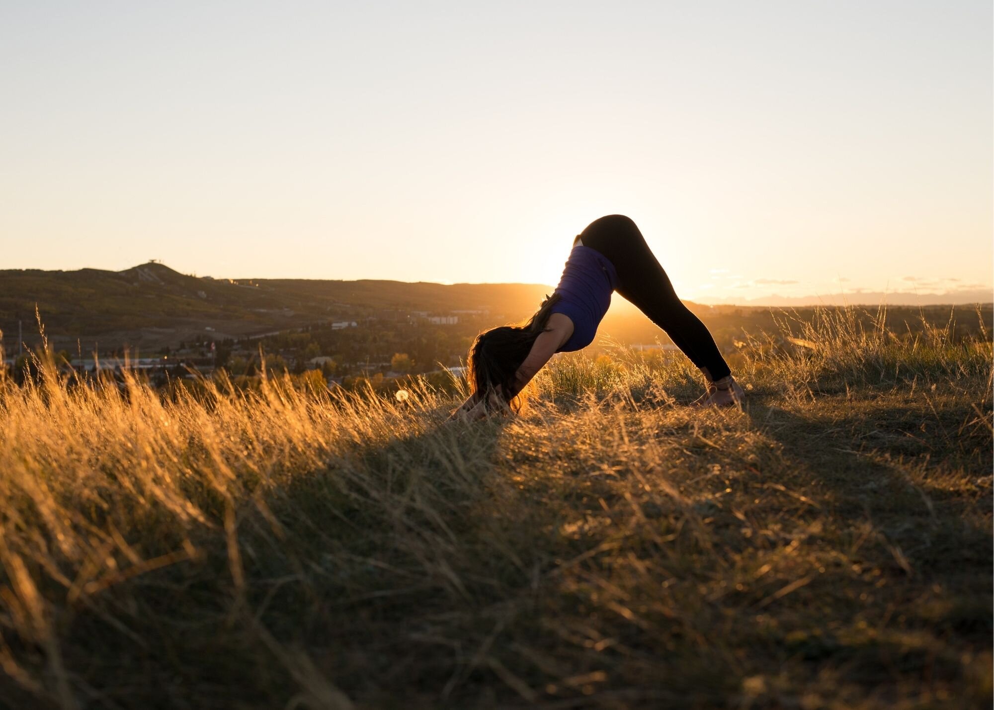 Articles about Yoga Postures for Beginners. — 7SY