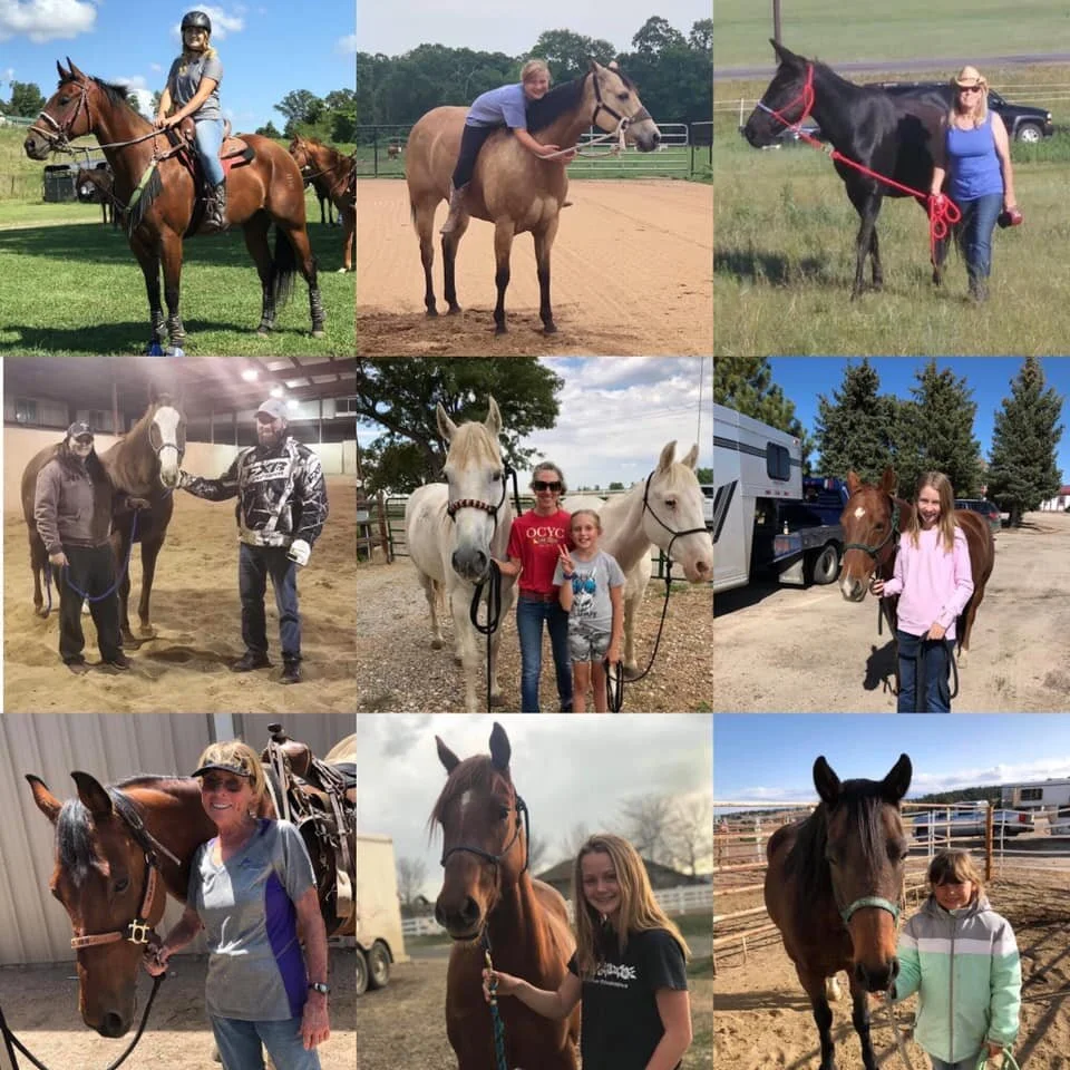 CS Horses