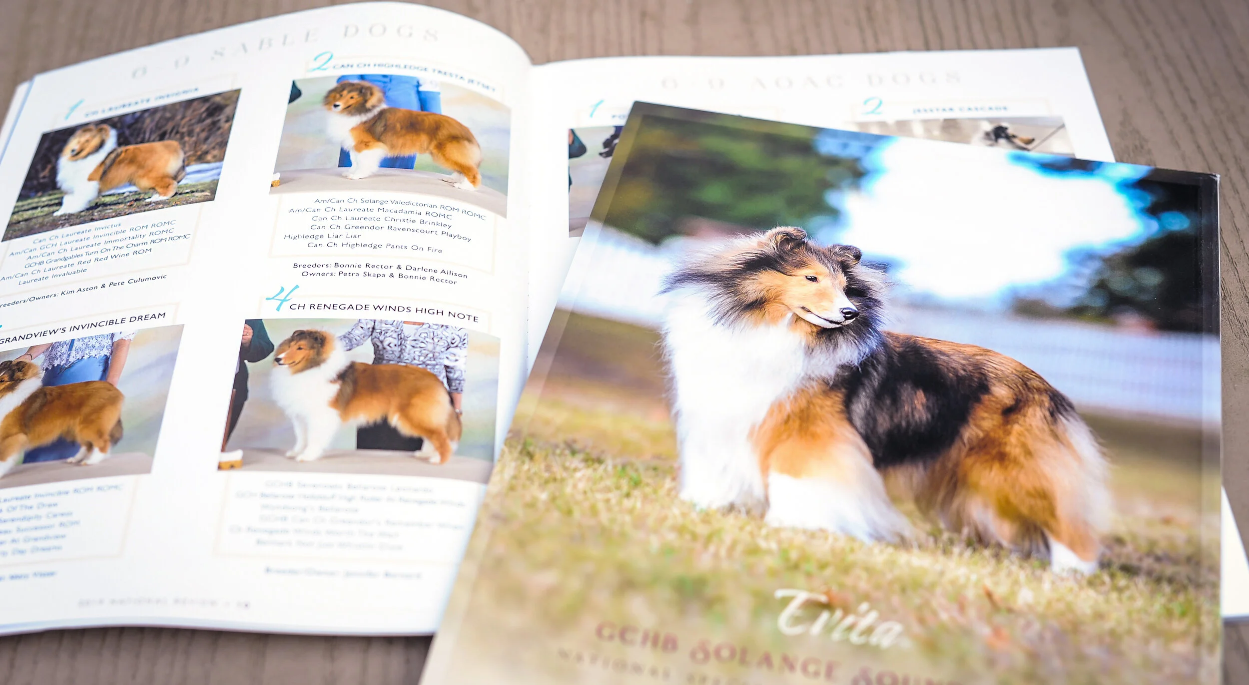 Sheltie Annual