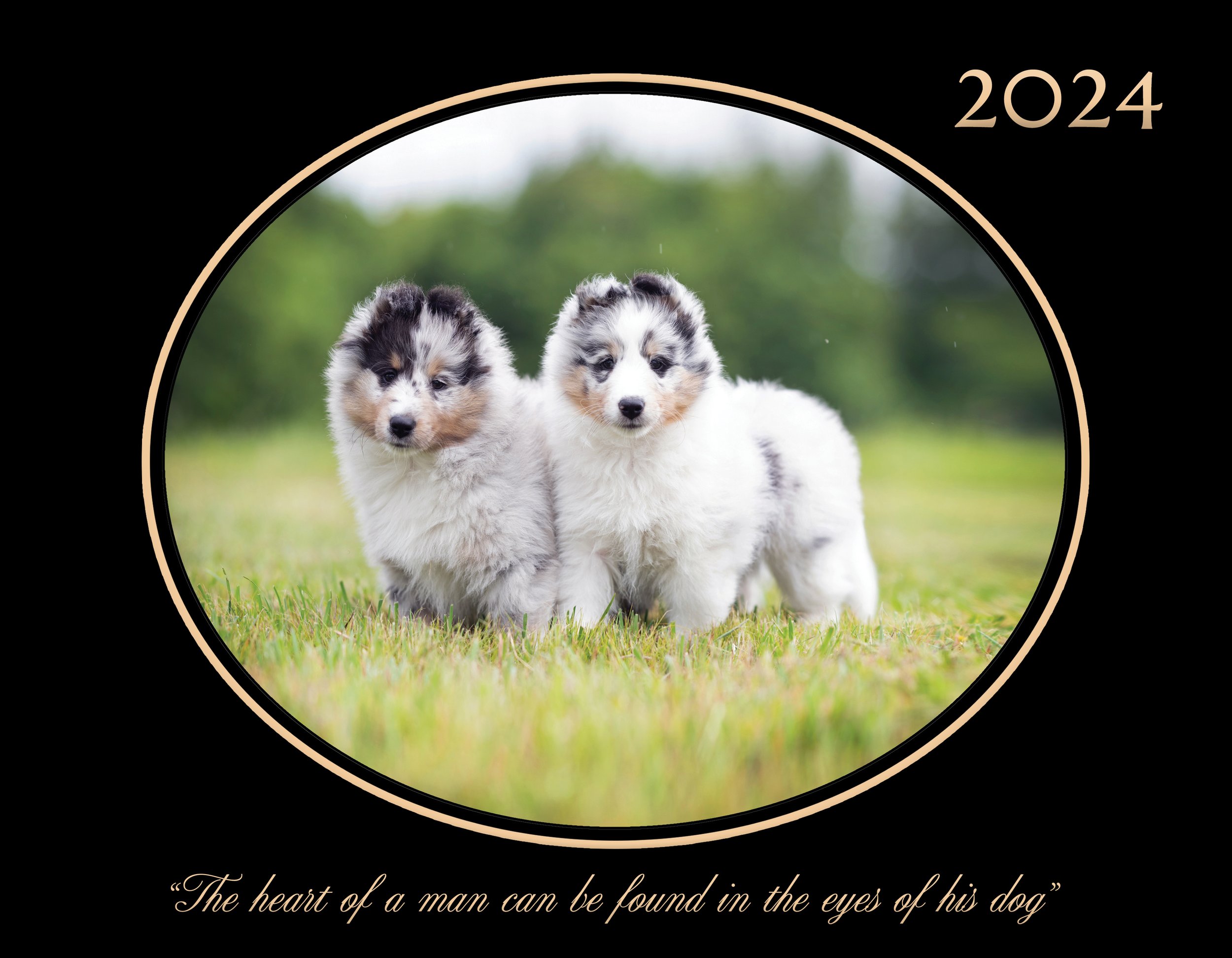 Sheltie Annual