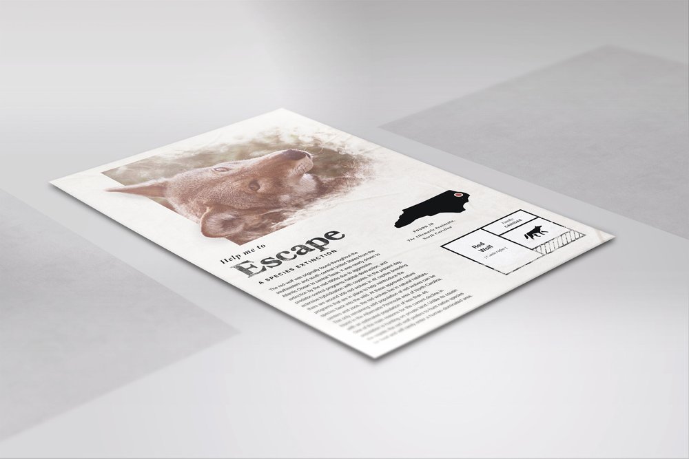 Robert Caudle | Graphic Designer