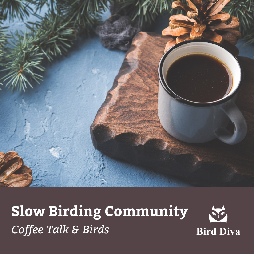 Bird Diva - Slow Birding