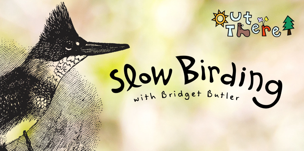 Slow Birding in Bellows Falls with the Bird Diva — Bird Diva ~ Slow Birding