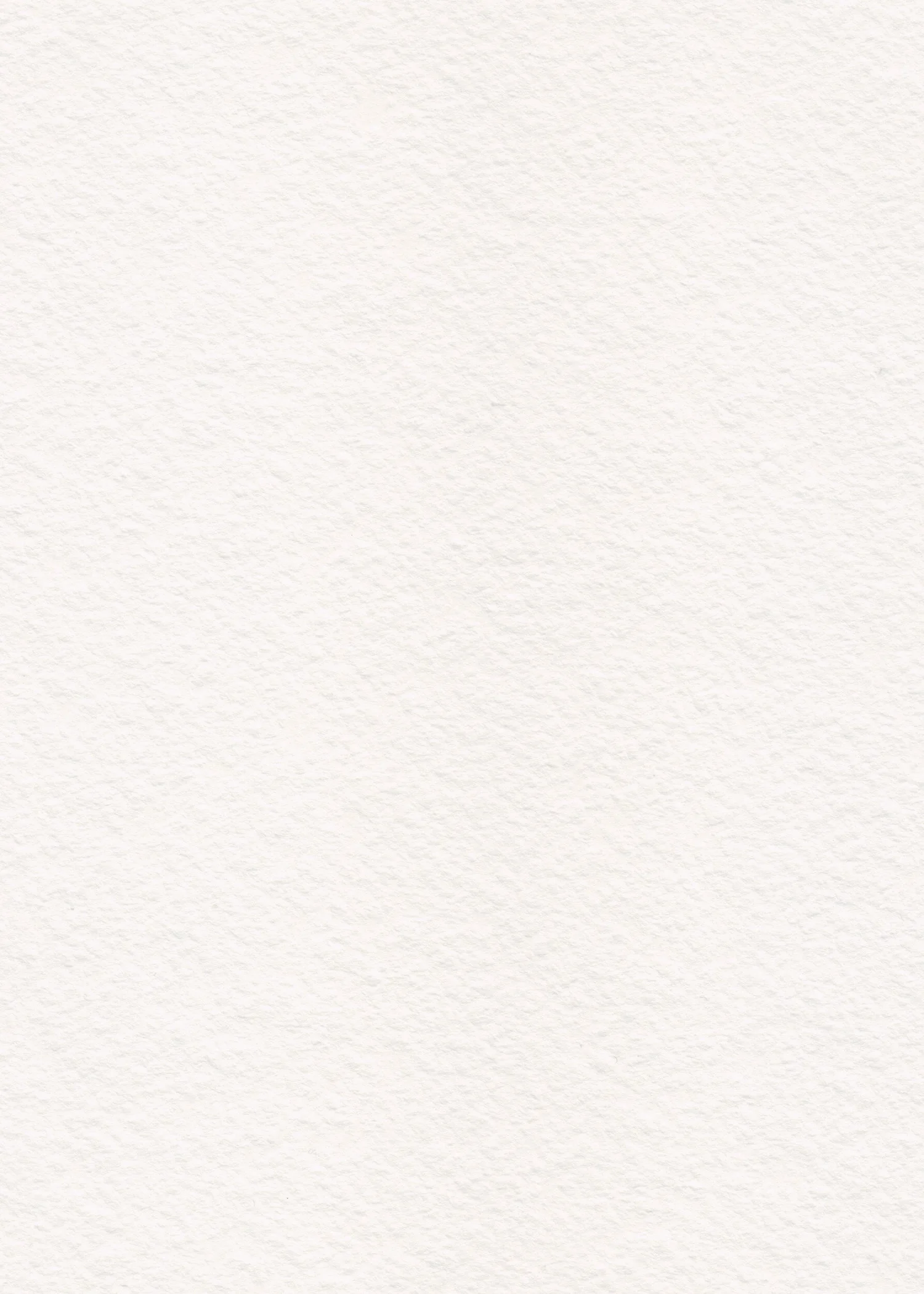 Meet the Team — CMi2i Limited