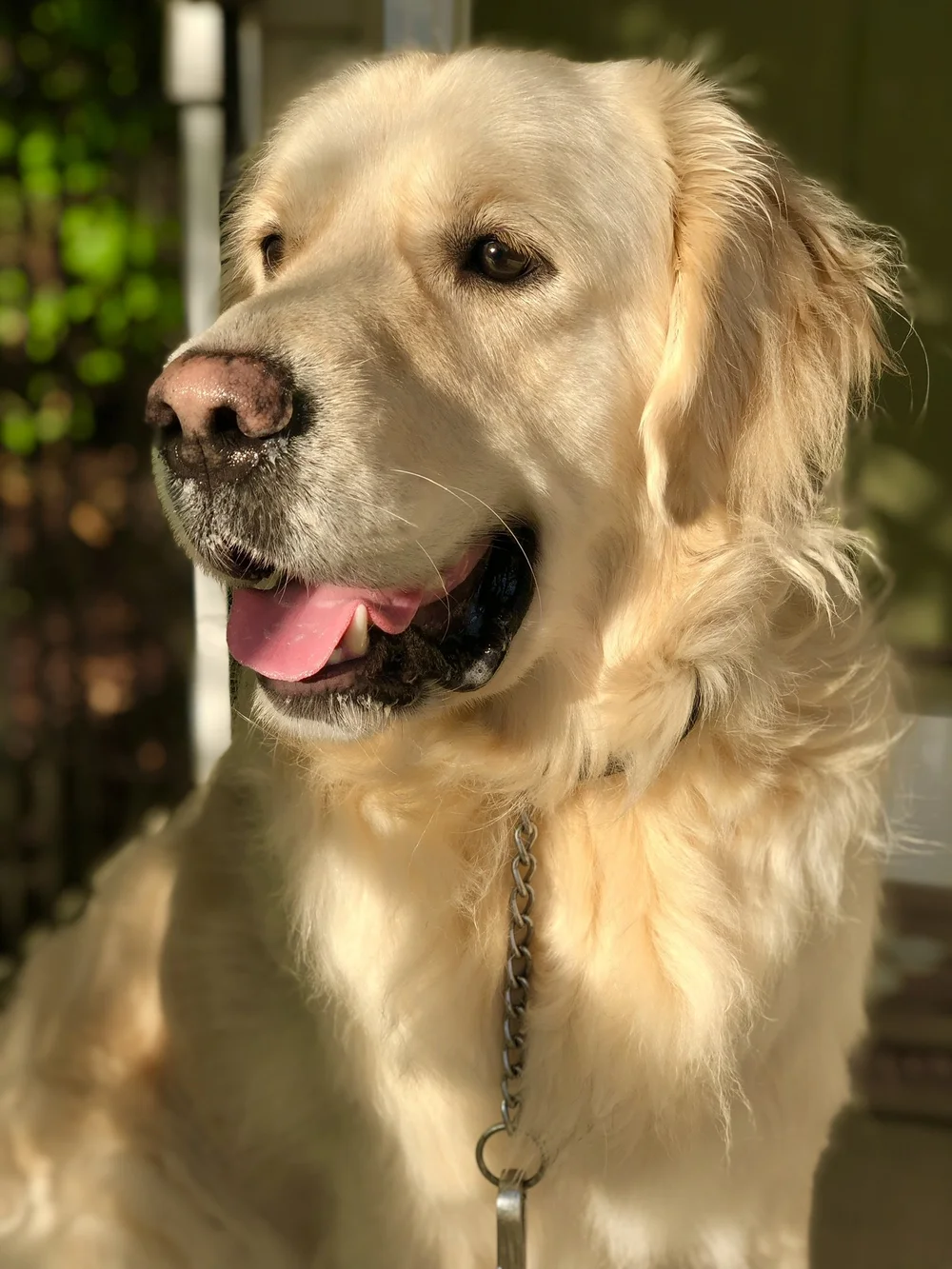 Meet Us — Peace by Piece NJ