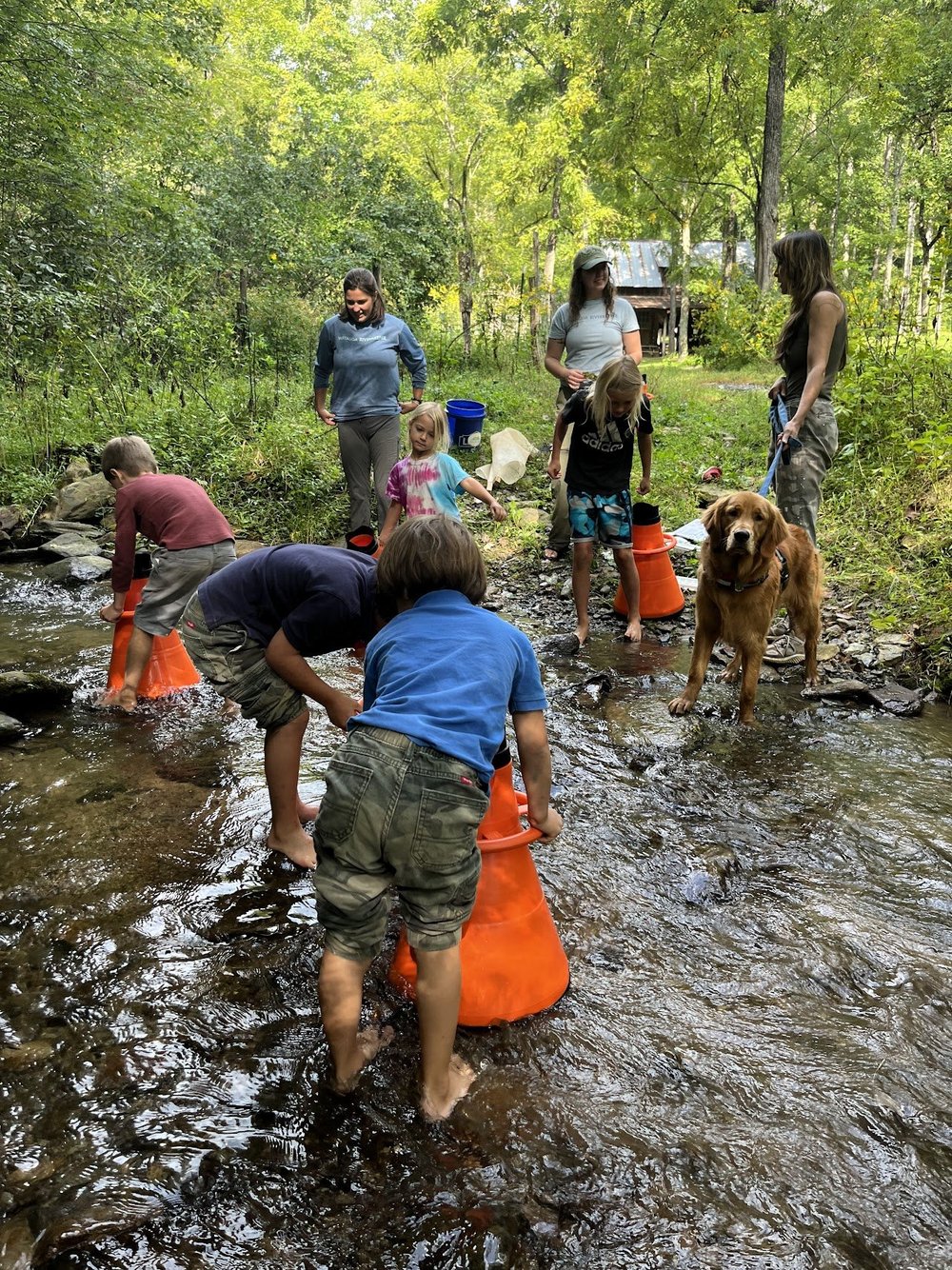 About Turtle Island — Turtle Island Preserve