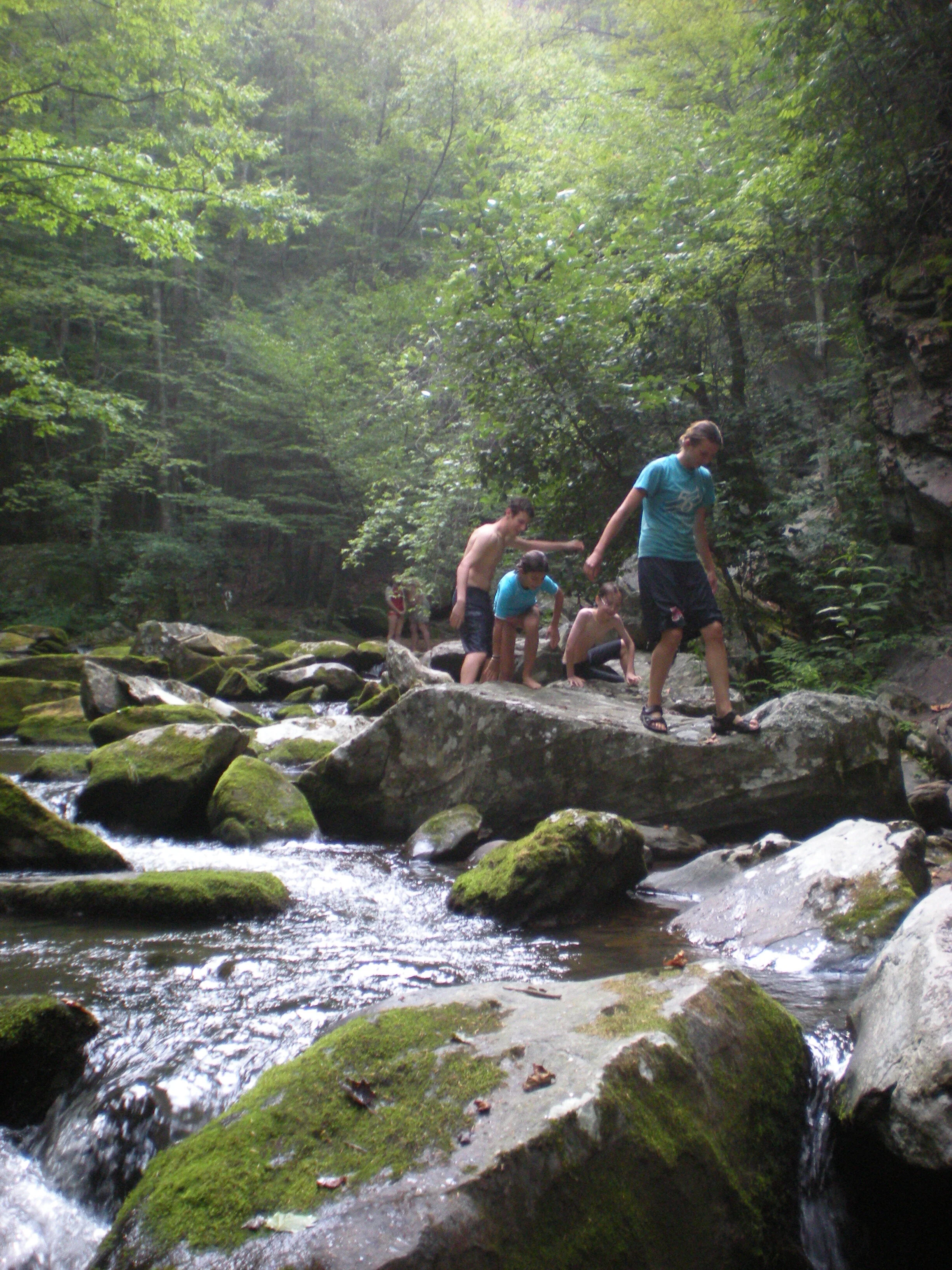 About Turtle Island — Turtle Island Preserve