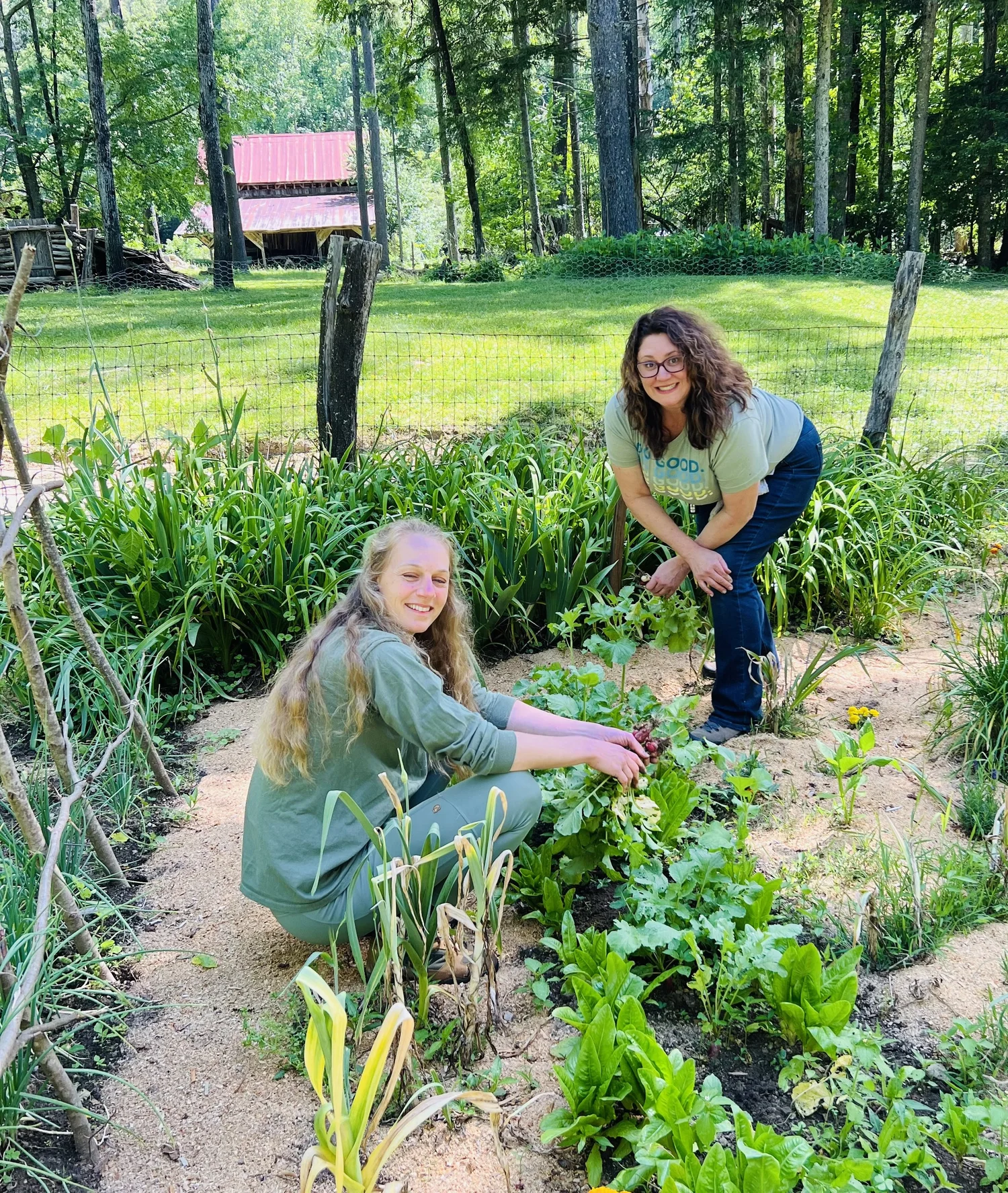 About Turtle Island — Turtle Island Preserve