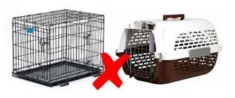 Use Of Personal Traps — Operation Catnip