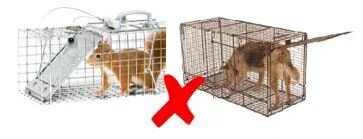 Use Of Personal Traps — Operation Catnip