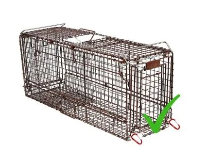 Use Of Personal Traps — Operation Catnip