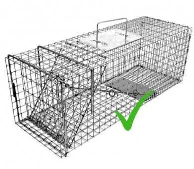 Use Of Personal Traps — Operation Catnip