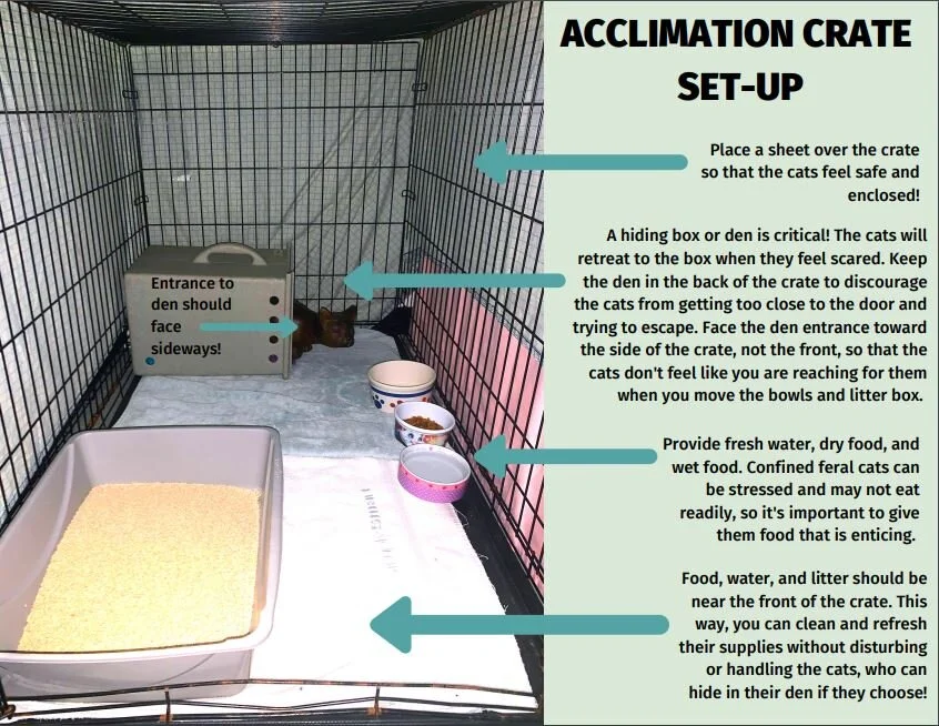 Acclimation for Working Cats — Operation Catnip