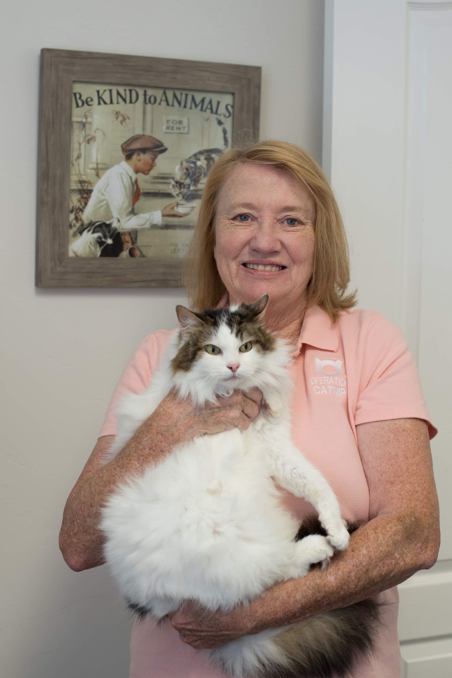 Administrative Staff — Operation Catnip